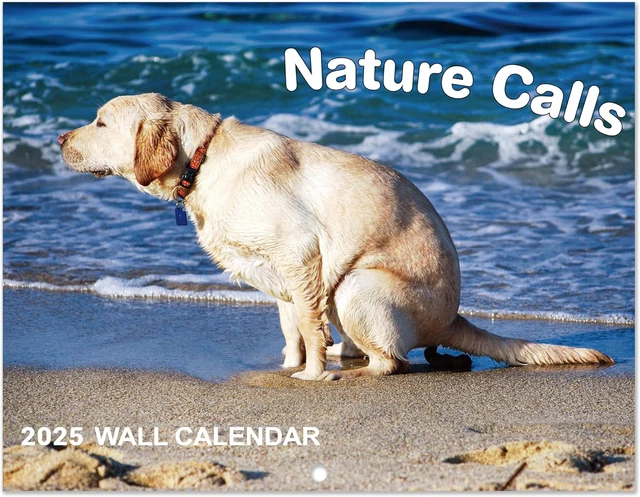 CALENDAR 2025 DOGS Pooping Calendar 2025 Nature Calls Funny Doggy $5.99 ...