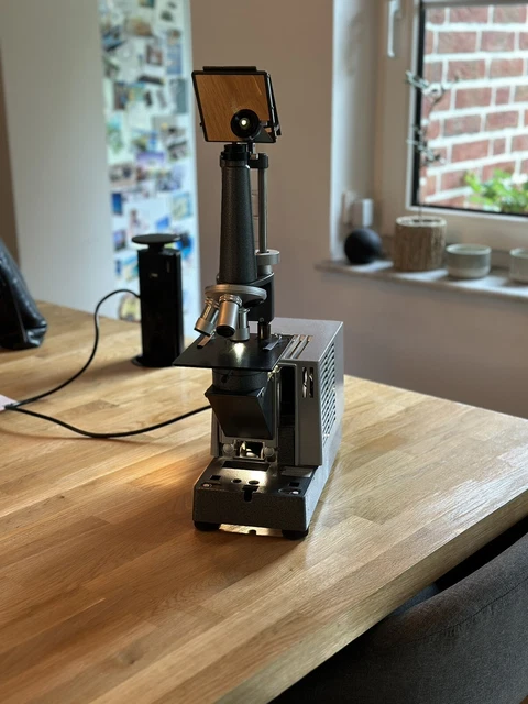 LEITZ MIKROSKOP MIT Diavorsatz Projektor Prado Universal mit Spiegel ...