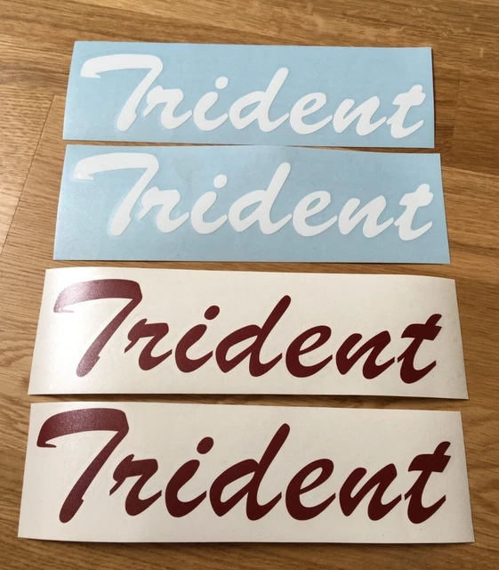 X2 VW T4 Transporter Camper Autosleeper Trident Decals Stickers £14.23 ...