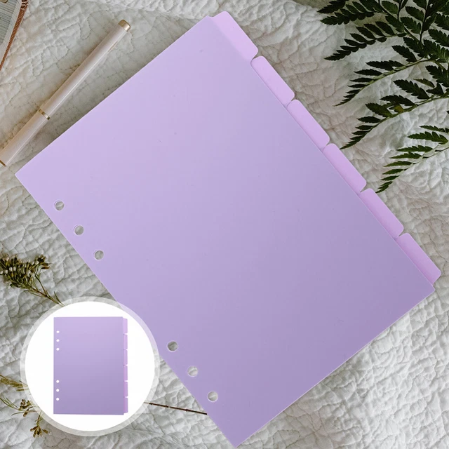 6 PCS CLASSIFICATION Tabs Index Classified Labels Dividing Line £5.55 ...