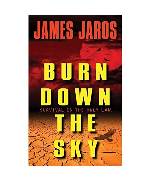 BURN DOWN THE Sky, James Jaros EUR 16,19 - PicClick FR
