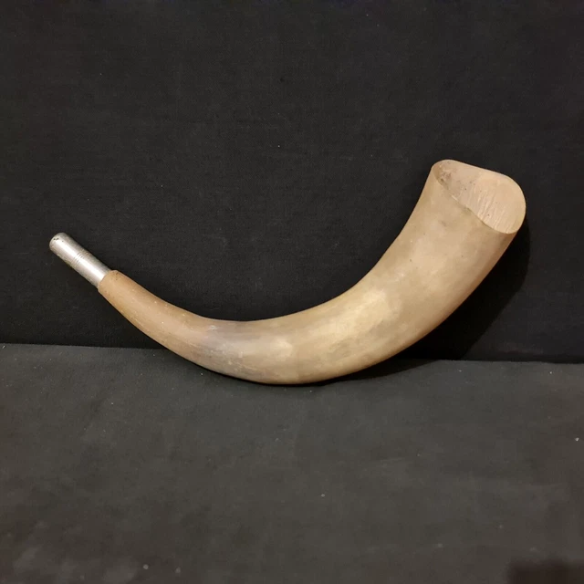 ANCIENNE CORNE DE chasse en corne de vache ou taureau - XXe EUR 4,00 ...