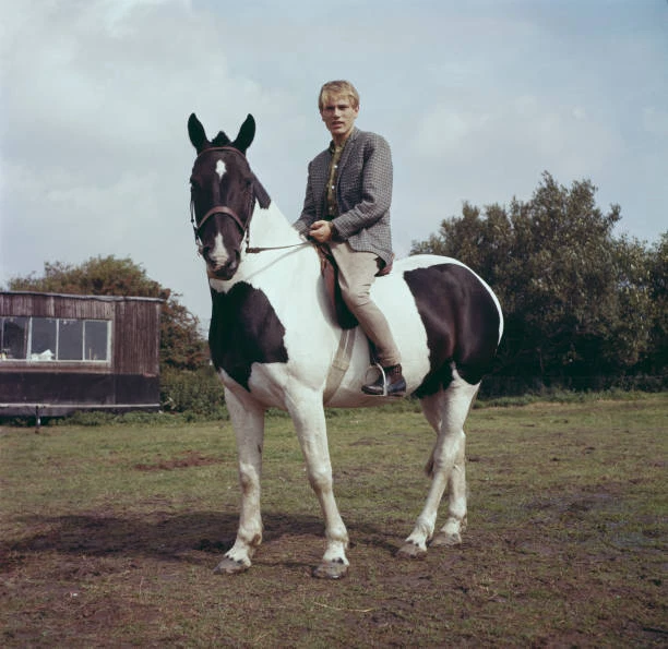 ENGLISH POP SINGER Adam Faith riding a horse 1970 OLD PHOTO $9.00 ... ENGLISH POP SINGER Adam Faith riding a horse 1970 OLD PHOTO $9.00 ...