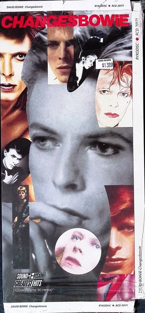 DAVID BOWIE CHANGESBOWIE - rare CD vide boîte longue sans CD EUR 30,82 ...
