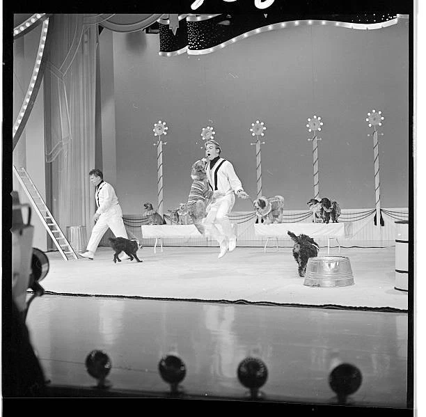 DWIGHT MOORE AND His Mongrels On Hollywood Palace 1964 OLD TV PHOTO 2 ...