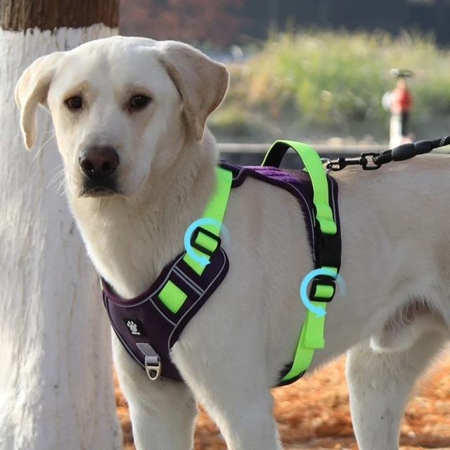 REFLECTIVE DOG CHEST Strap Multi-Point Adjustment Dog Leash Pet Dogs ...