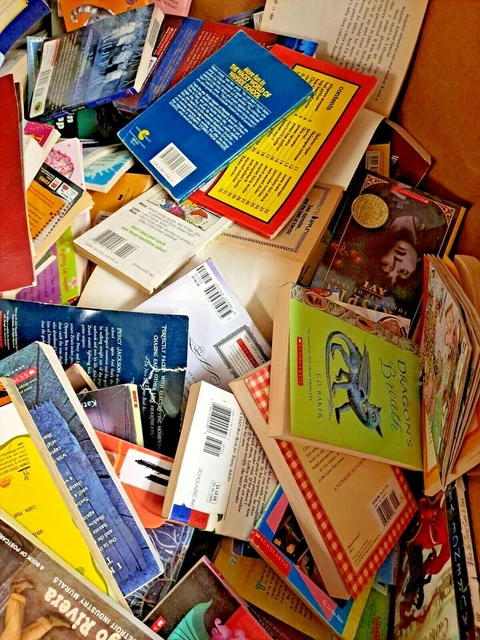 LOT OF 30 RANDOM Children's Kids Chapter Books Instant Library Unsorted ...
