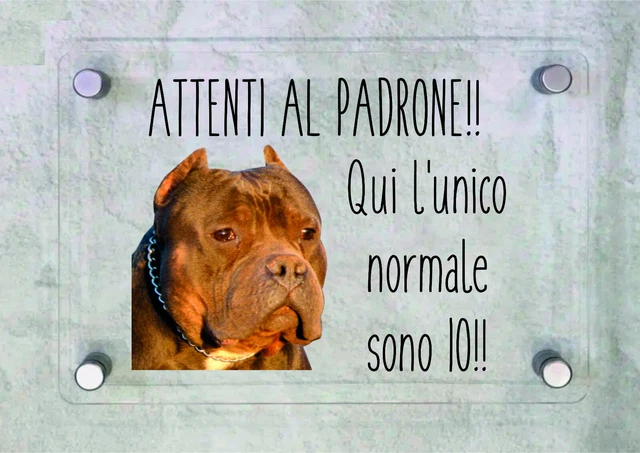 TARGA CARTELLO IN Plexiglas Attenti Al Cane - American Bulldog Attenti ... TARGA CARTELLO IN Plexiglas Attenti Al Cane - American Bulldog Attenti ...