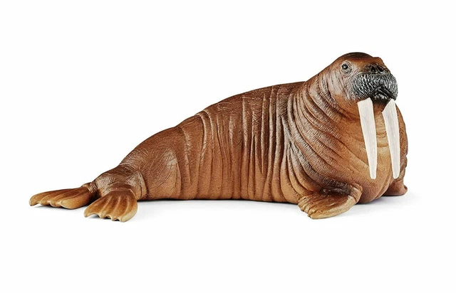 SCHLEICH MARINE ANIMALS Sea Life Walrus Walrus Rubber Figure 14803 / ...