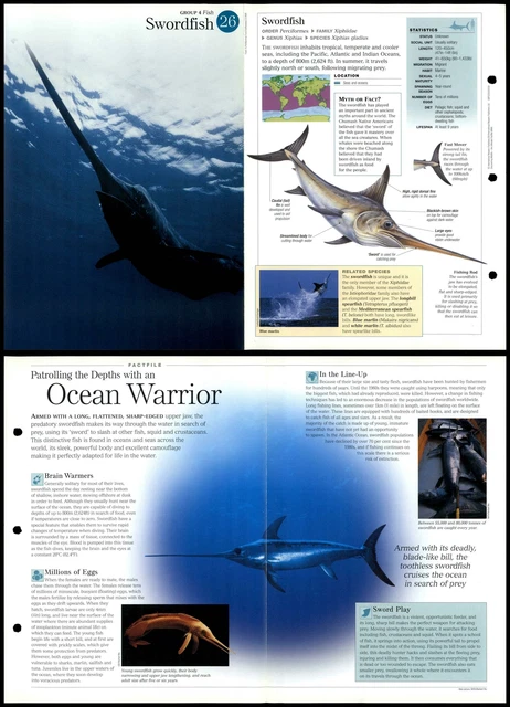 SWORDFISH #26 FISH - Discovering Wildlife Fact File Fold-Out Card $2.55 ...