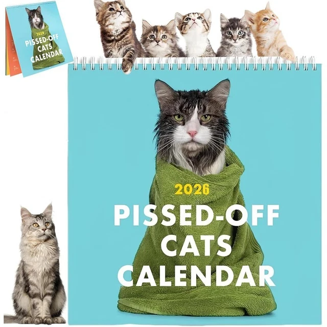 ANGRY CAT CALENDAR 2026 Calendar UK, Funny 2026 UK Grumpy Cat Wall £6. ...