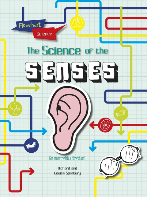 THE SENSES (FLOWCHART Science: The Human Body) | Paperback | 2019 £9.89 ...