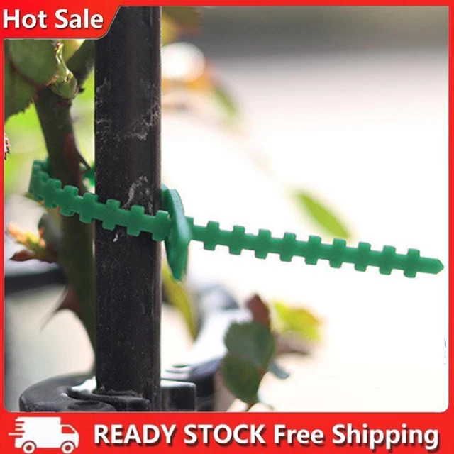 100PCS GARDENING CABLE Ties Reusable Plastic Plant Tie Locking Plant ...