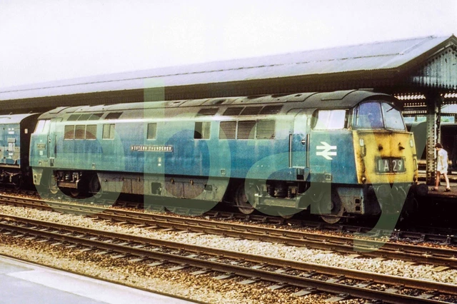 UK DIESEL TRAIN Railway Photograph Of Class 52 Western D1011. Rm52-37 £ ...