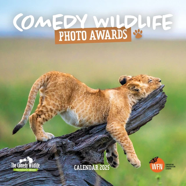 COMEDY WILDLIFE PHOTOGRAPHY Awards Wall Calendar 2025 (PFP) £11.27 ...