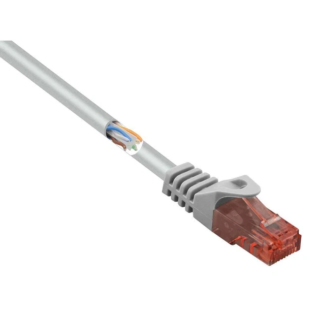 RENKFORCE RF-5047522 RJ45 Câble réseau, câble patch CAT 6 U/UTP 3.00 m ...