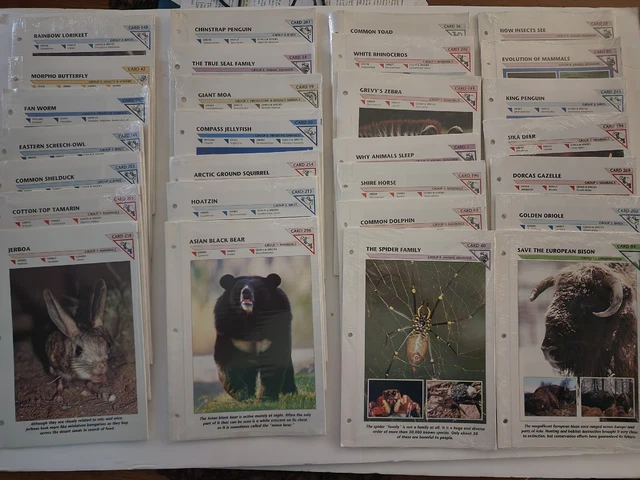 WILDLIFE FACT FILE 28 Sealed Packs 336 Cards Total New Packets Lot 90s ...