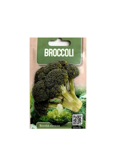 SEEDS PACK GREEN Broccoli Sachet Graines Brocoli Vert EUR 4,90 ...