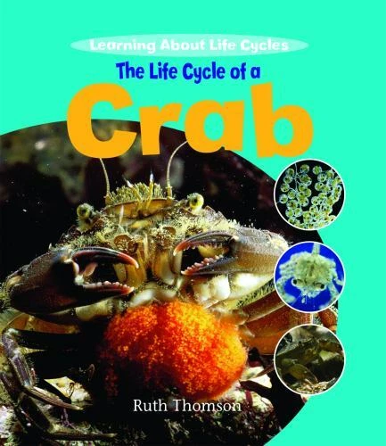THE LIFE CYCLE of a Crab by Thomson, Ruth £3.53 - PicClick UK