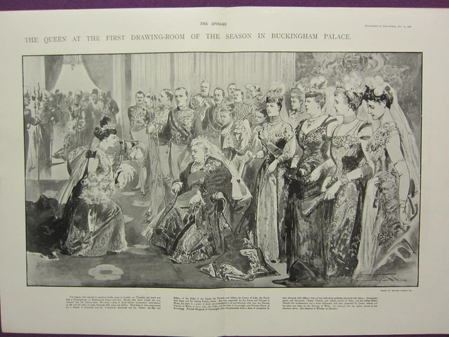 1900 VICTORIAN BOER War Print ~ Queen Victoria At First Drawing-Room Of ...