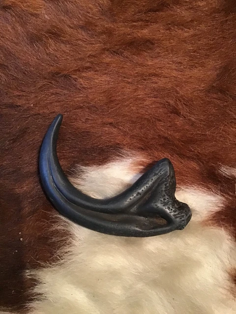 VELOCIRAPTOR RÉPLICA GARRA Dinosaurio Raptor Dinosaur Fossil Claw EUR ...