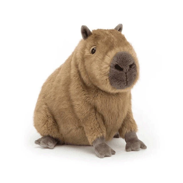 JELLYCAT CLYDE CAPYBARA 24cm Plush - NEW Collectible Toy w/Tags & Dust ...