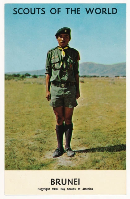 BRUNEI - SCOUTS of the World - Boy Scouts of America 1960's £4.72 ...