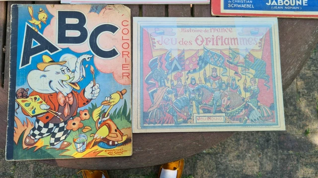 LOT DE 24 livres d'illustrations d'emmanuel cocard EUR 275,00 - PicClick FR