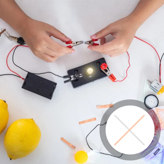 FRUIT BATTERY SCIENCE Experiment Power Generation Materials £5.28 ...