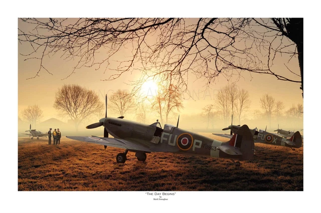 WWII WW2 RAAF RAF Supermarine Spitfire Aviation Art Photo Print - 12" X ...