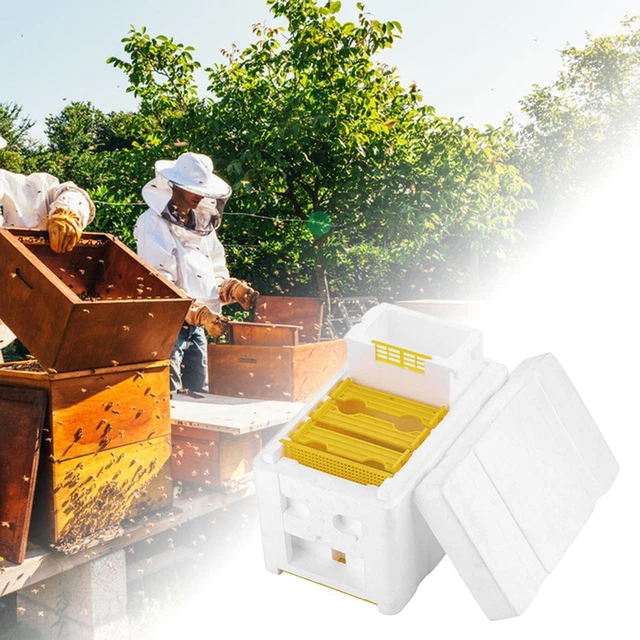ÉQUIPEMENT APICOLE PORTATIF de ruche d'élevage de reine pour l'élevage ...