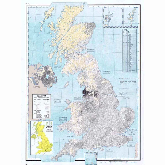 BRITISH ISLES POULTRY Population and Distribution in 1955- Vintage Map ...