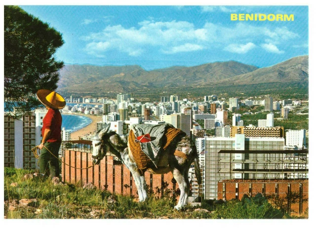 BENIDORM: DONKEY, ALICANTE, Spain Rare Picture Postcard No.763 £3.49 ...