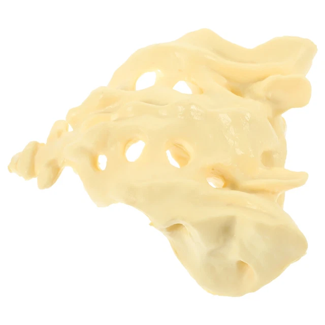 PRACTICE SACRUM MODEL Lumbar Vertebrae Healthy Medical Models £19.25 ...