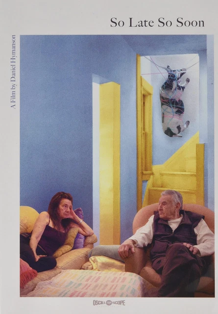 SO LATE SO Soon (DVD) Jackie Seiden Don Seiden EUR 37,56 - PicClick IT