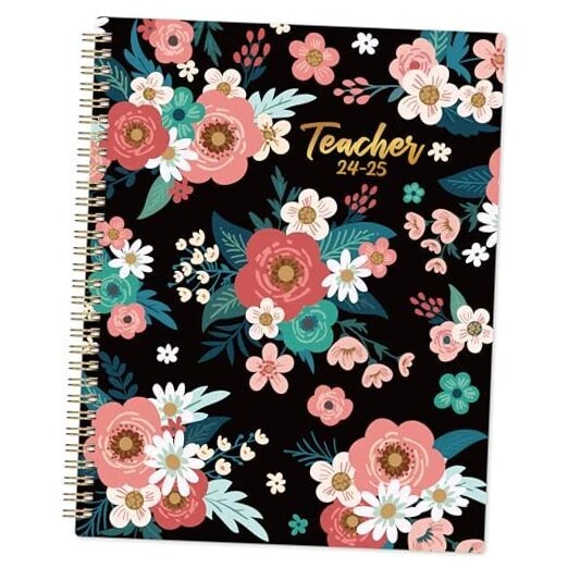 TEACHER PLANNER 2024-2025 - Lesson Planner 2024-2025, 2024-2025 Teacher ...