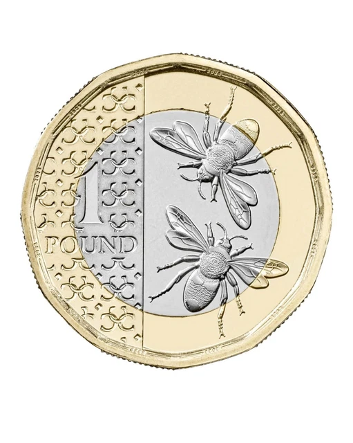 2025 £1 ONE Pound Coin 2025 Bee £1 - uncirculated taken from a sealed ...