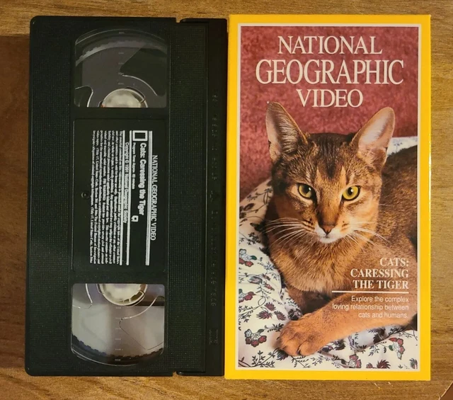 NATIONAL GEOGRAPHIC VIDEO - Cats: Caressing the Tiger (VHS, 1992) D3 £7 ...