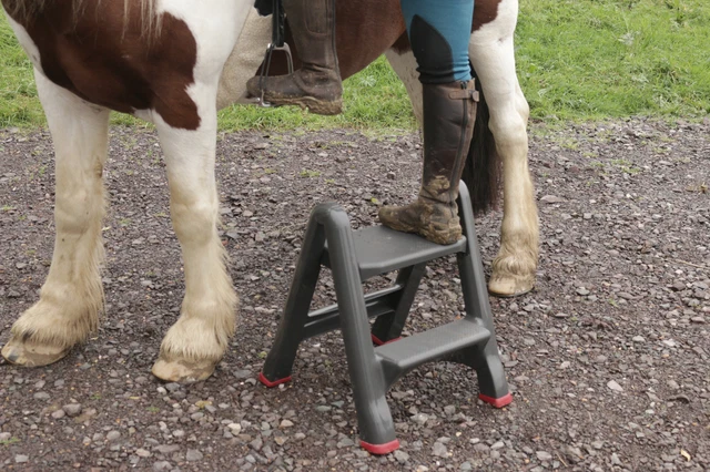 CURVER FOLDABLE STEP Stool - equestrian mounting block (NEXT DAY ...