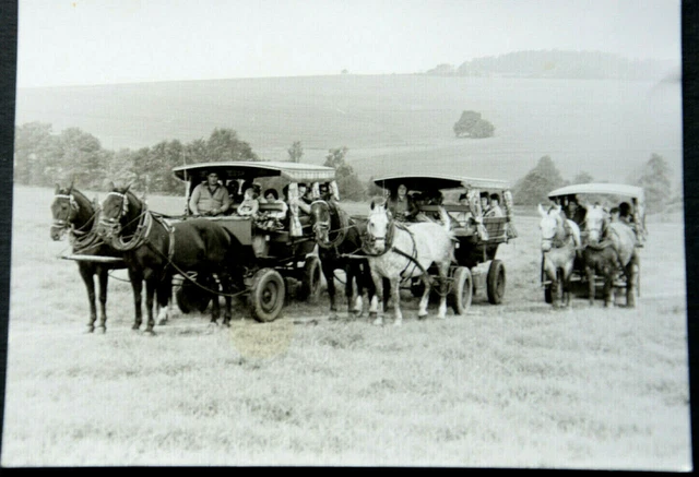 47414 AK CHEVAUX Calèche Avec Invités Sur Meadow EUR 10,59 - PicClick FR