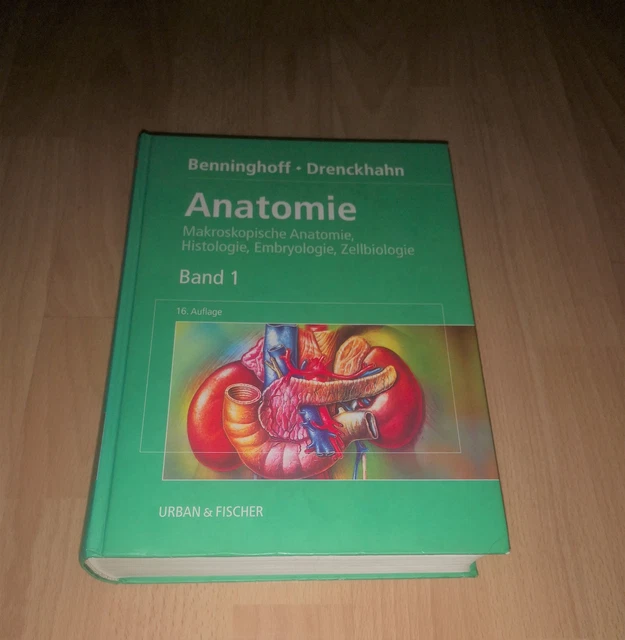 Anatomie Makroskopische Anatomie Von Benninghoff – WARRMX