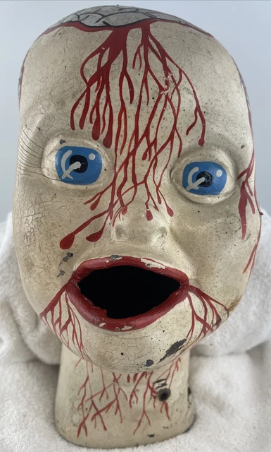 VINTAGE CARNIVAL HAUNTED House Prop Severed Head Halloween Prop Macabre ...