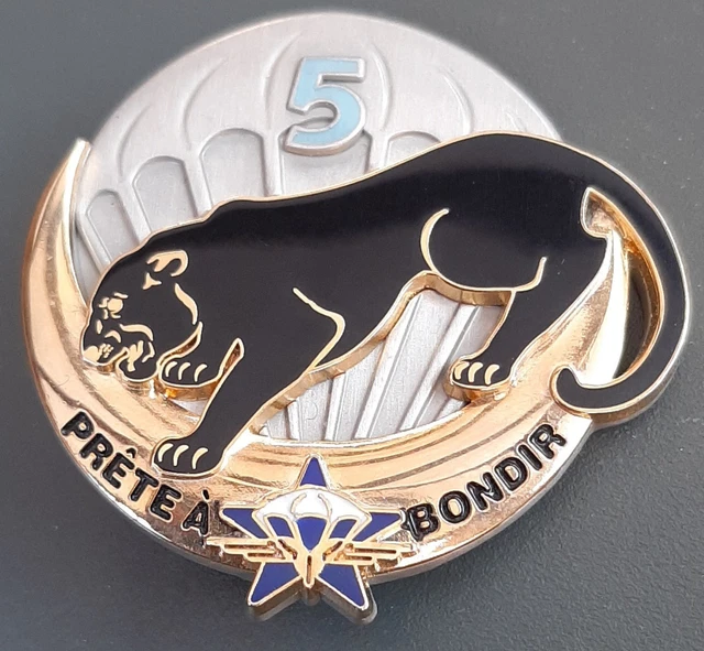INSIGNE 1° RCP 5° Compagnie Régiment Chasseurs Parachutiste ORIGINAL ...