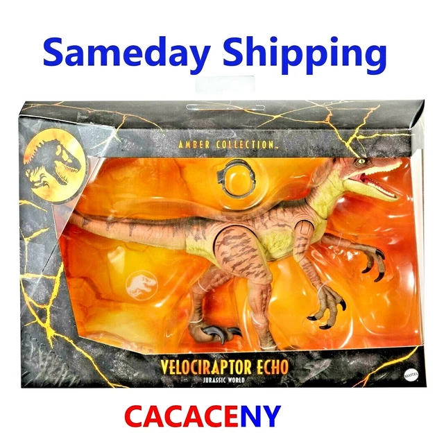 JURASSIC WORLD AMBER Collection Velociraptor Echo Raptor Figure ...