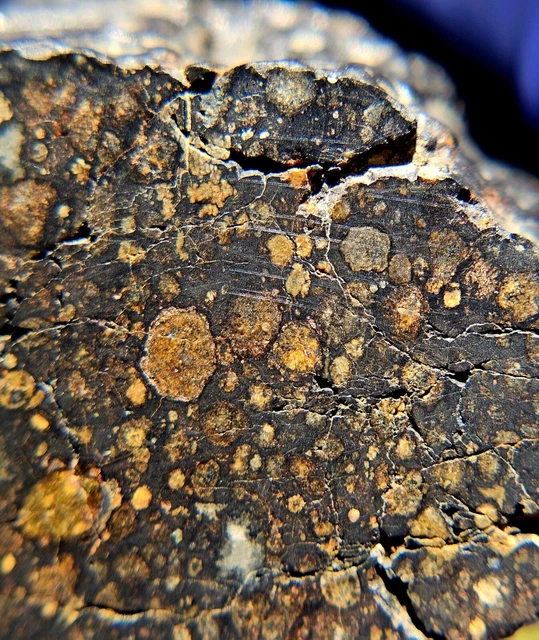 METEORITE**NWA NON CLASSIFICATO, CV3**688,70 grammi, condrite ...