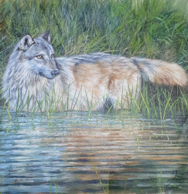 ORIGINAL OIL PAINTING by Artist: David Stribbling Grey Wolf £185.00 - PicClick UK
