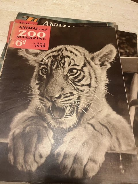 ANTIQUE VINTAGE ZOO Animal Magazines 1930-1940s £0.99 - PicClick UK