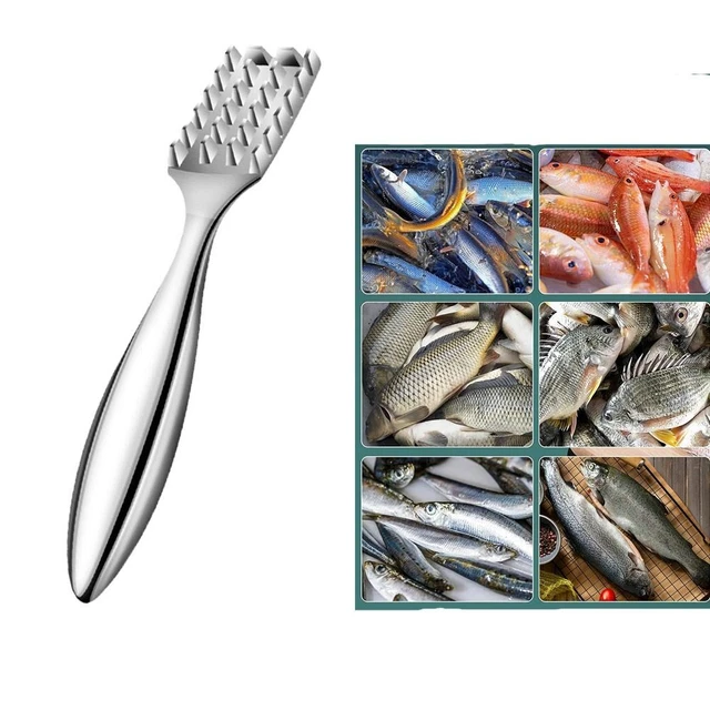 1 PCS STAINLESS Steel Fish Scaler Heavy Duty Fish Scaler Tool Kitchen £ ...