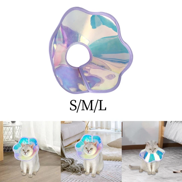 CAT CONE ANTI Licking Cat Kitten Recovery Collar for Puppy Grooming ...