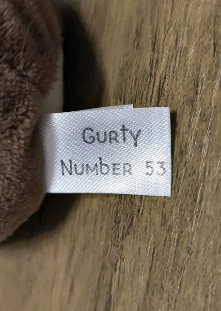 COLLECTABLE MY BLUE Nose Friends Gurty The Gregarious Guinea Pig 🐖 ...